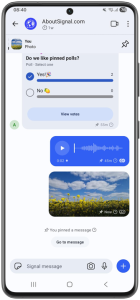 Sneak preview: Pinned messages in Signal (first screenshots)